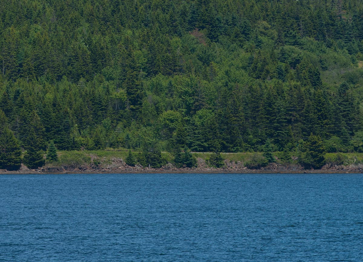 6 Powerful Tips for Prize-Winning Landscape Photography