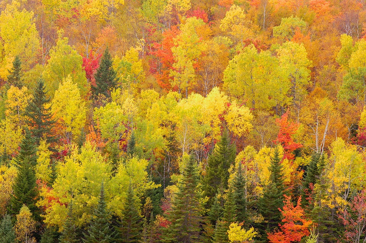 6 Powerful Tips for Prize-Winning Landscape Photography