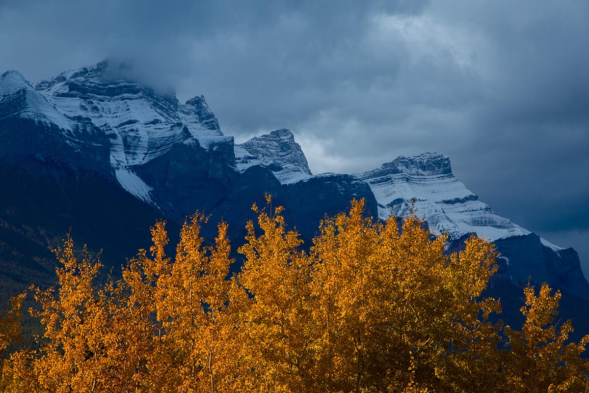 12 Composition Guidelines That Every Photographer Should Use