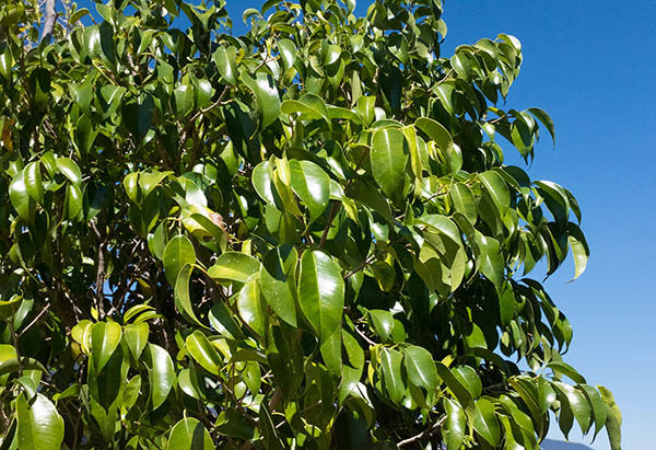 Shutter Speed: Five Things Every Photographer Should Know