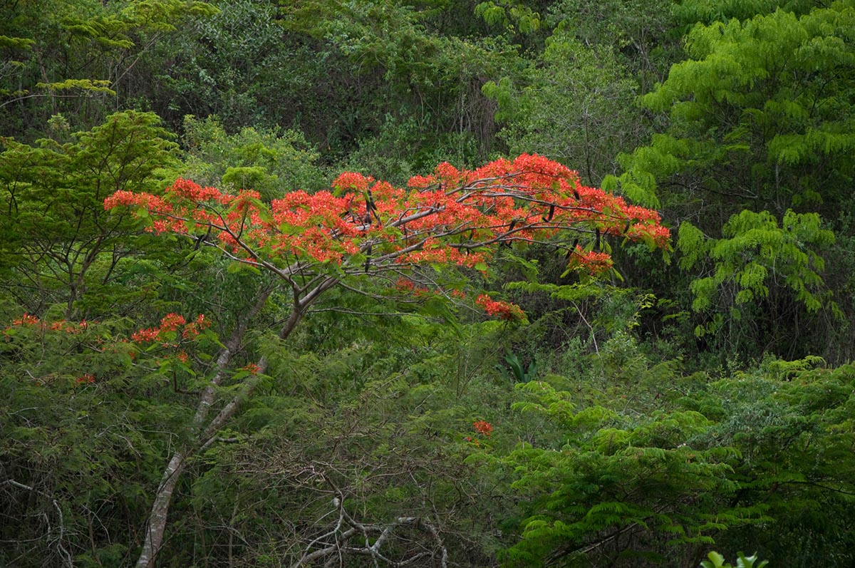 Shutter Speed: Five Things Every Photographer Should Know