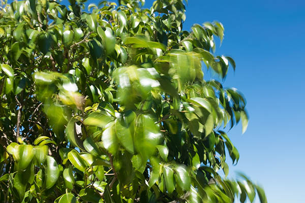 Shutter Speed: Five Things Every Photographer Should Know