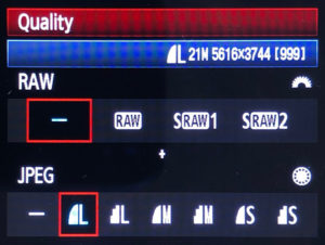 Camera Controls: 13 Pro Tips For Mastering Your Camera