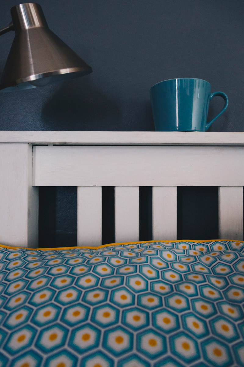 6 Pro Tips For Effective Use Of Color In Photography