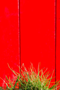 6 Pro Tips For Effective Use Of Color In Photography