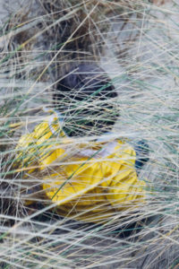 6 Pro Tips For Effective Use Of Color In Photography