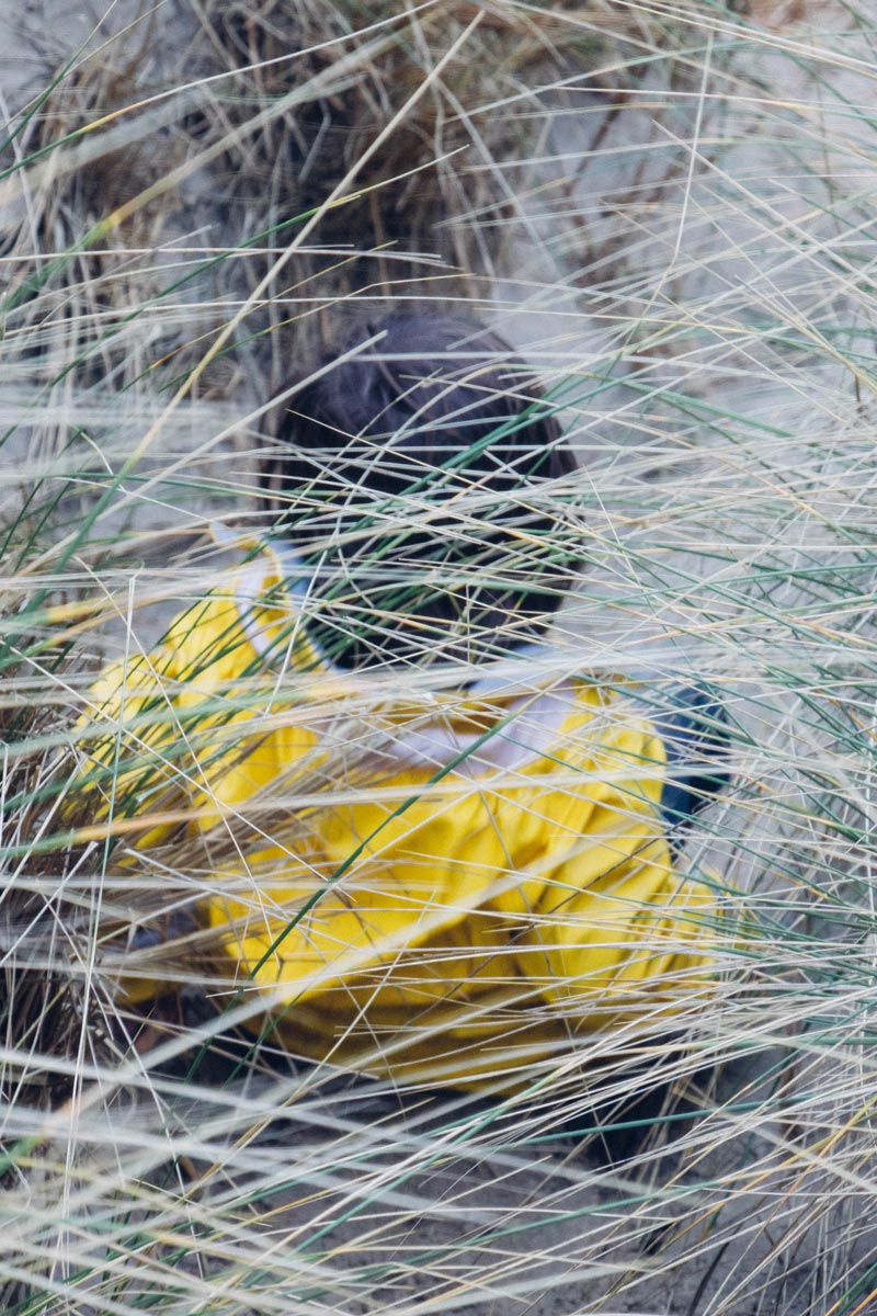 6 Pro Tips For Effective Use Of Color In Photography