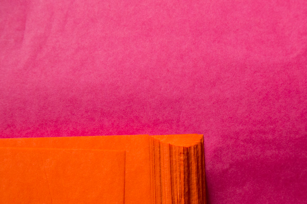 6 Pro Tips For Effective Use Of Color In Photography