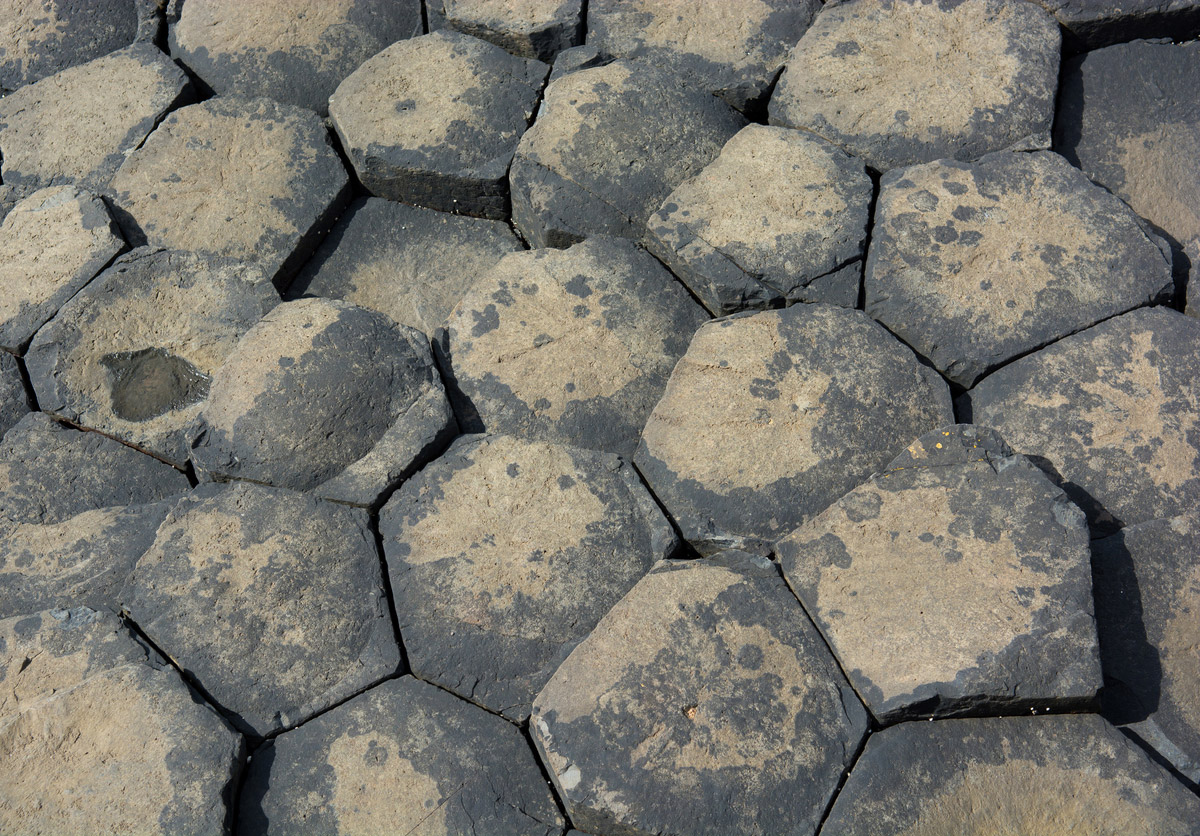 Graphical Design Elements: How To Use Them To Improve Your Photos