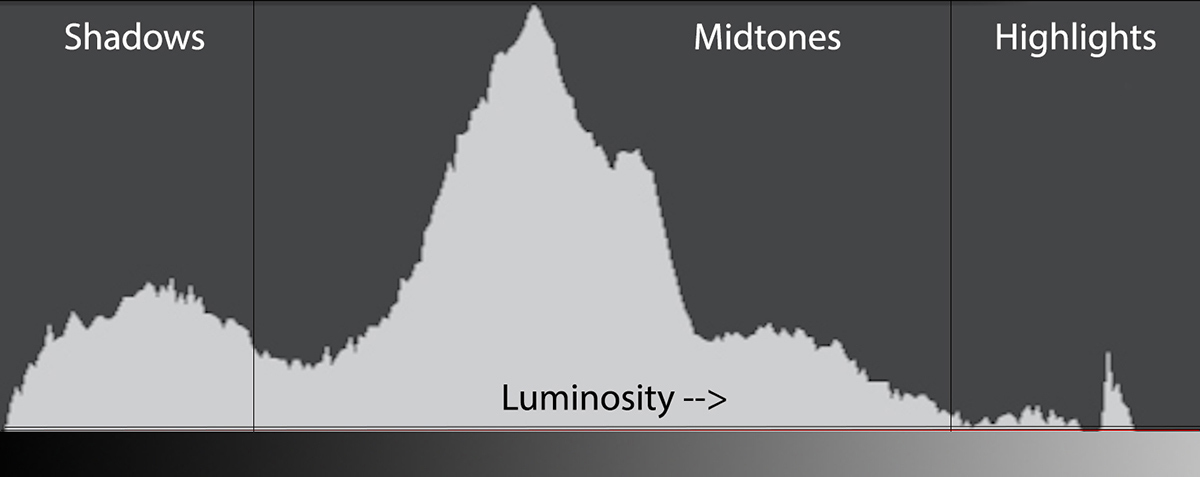 Histogram: Discover How To Take Better Photos By Exposing To The Right