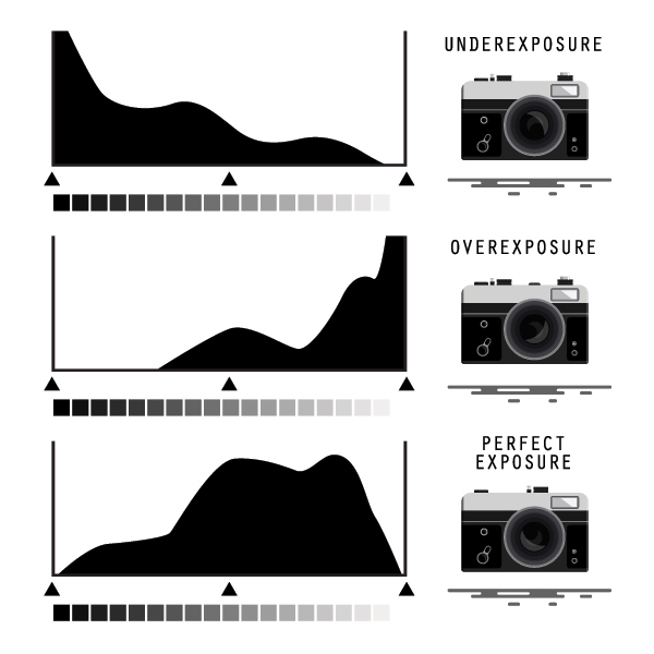 Histogram: Discover How To Take Better Photos By Exposing To The Right